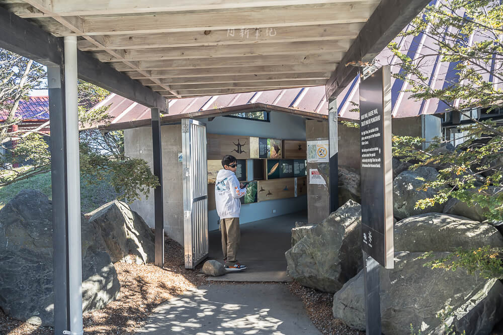 Mt Cook Alpine Salmon Shop | 激推庫克山國王鮭魚！鮭魚片好吃~