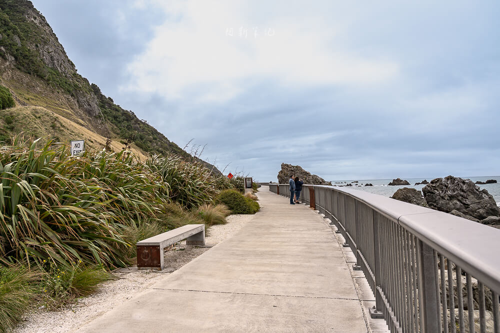 Ohau Point Lookout｜奧豪角海豹觀景台：凱庫拉公路必停景點