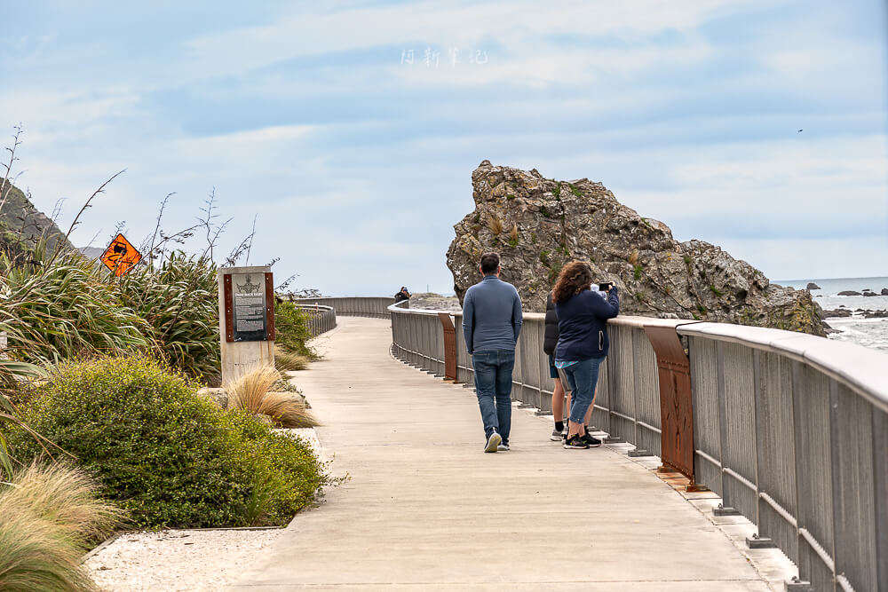 Ohau Point Lookout｜奧豪角海豹觀景台：凱庫拉公路必停景點