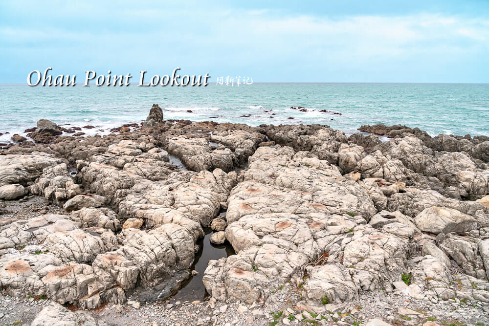 Ohau Point Lookout｜奧豪角海豹觀景台：凱庫拉公路必停景點